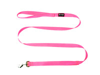 Smoochy Poochy Nylon Regular Style Leash - Wooftown.ca